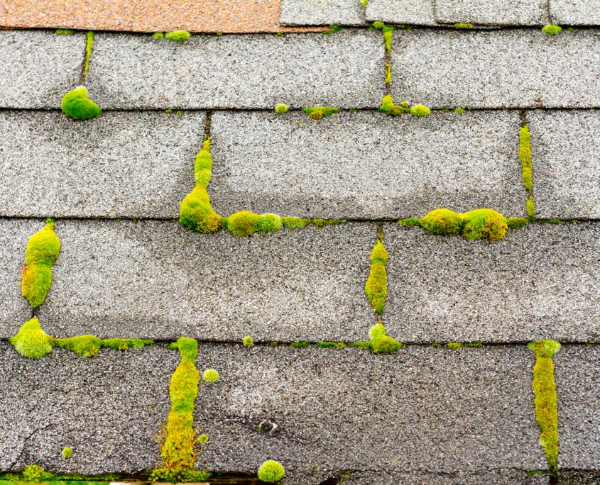 Identifying Asphalt Shingle Roofing Defects - Richmond Home Inspector